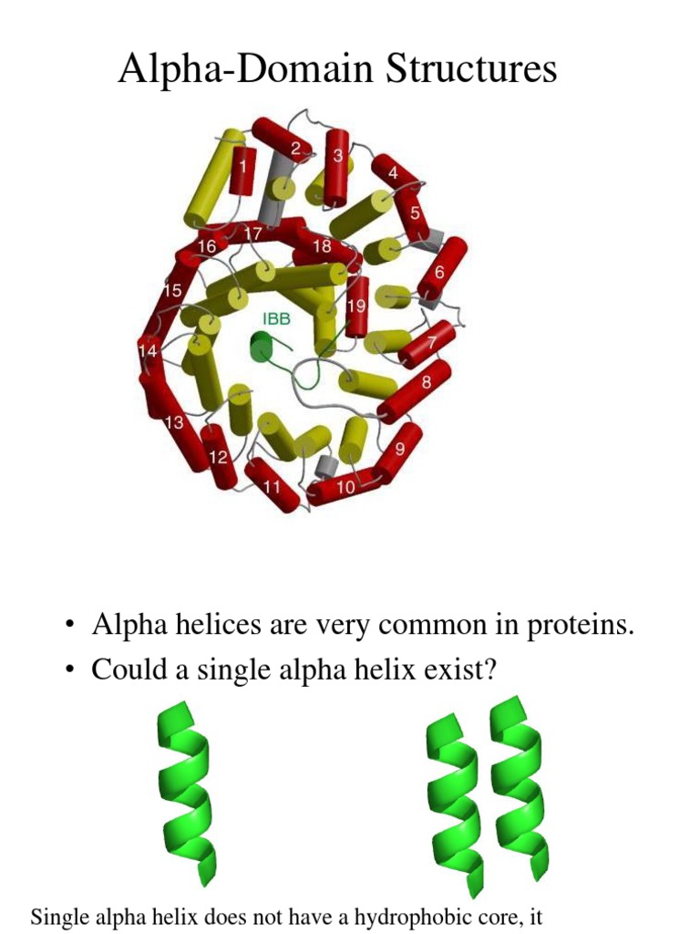 Alpha | Download Free PDF | Alpha Helix | Hemoglobin