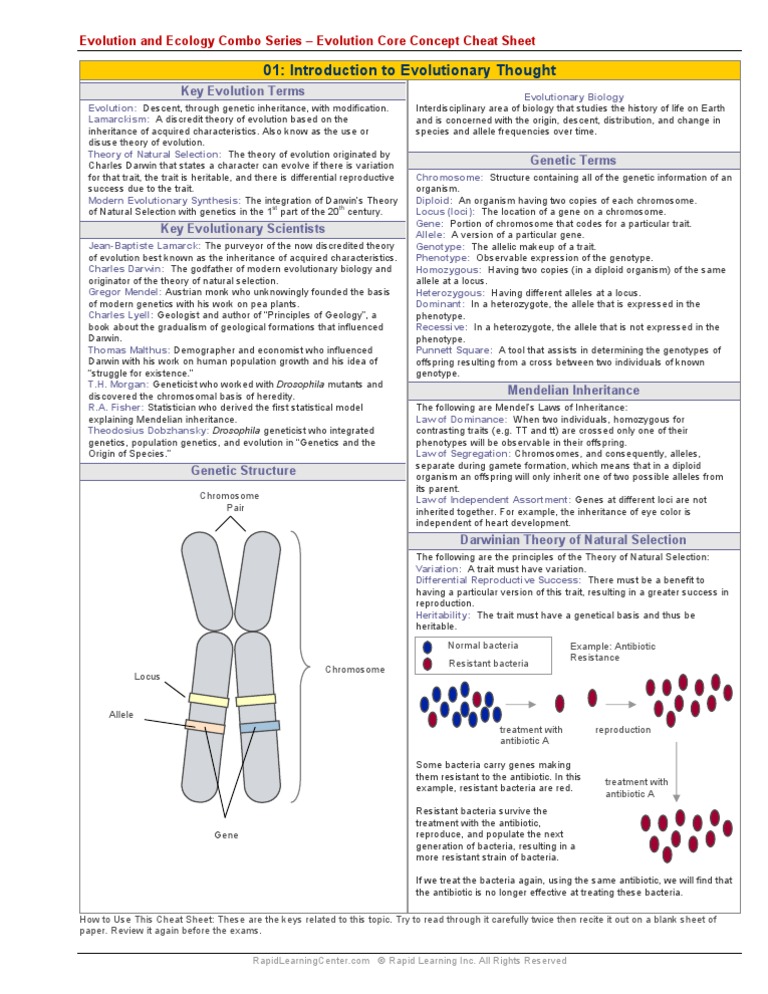 01: Introduction To Evolutionary Thought: Key Evolution Terms | PDF ...