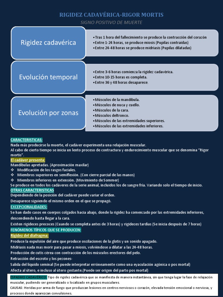 Rigidez Cadaverica PDF | PDF | Músculo | Anatomía humana