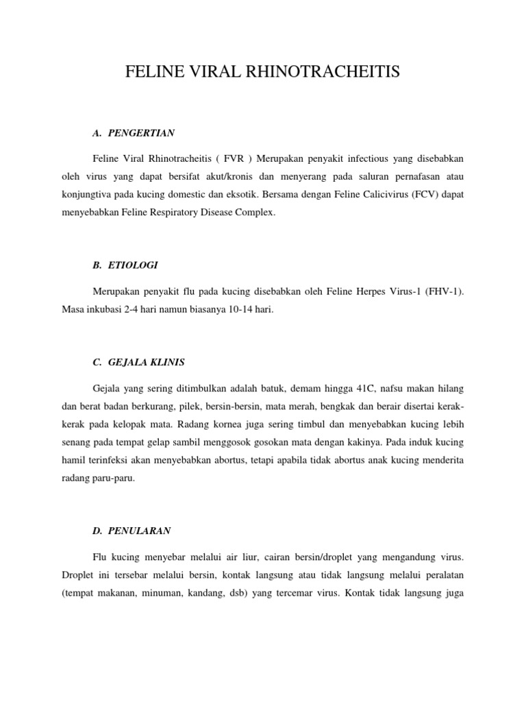 Feline Viral Rhinotracheitis | PDF