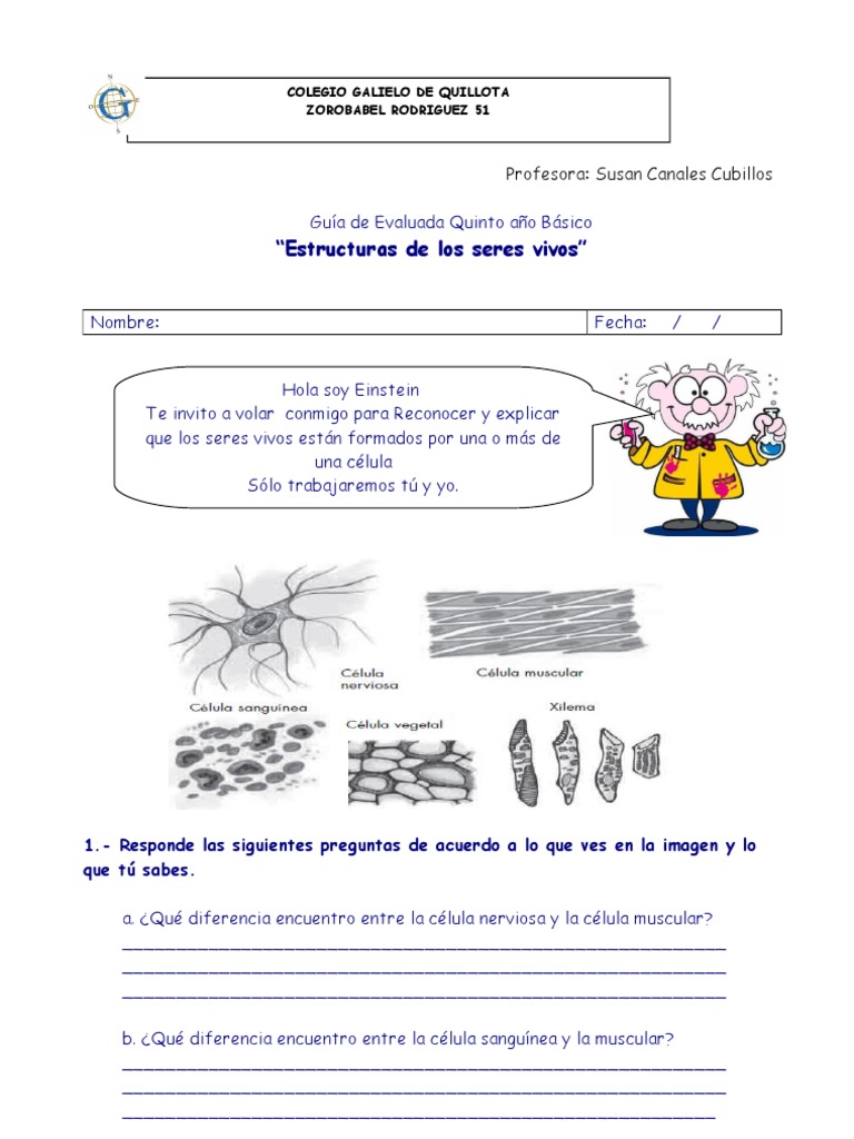 Guia de Celulas 5 Basico