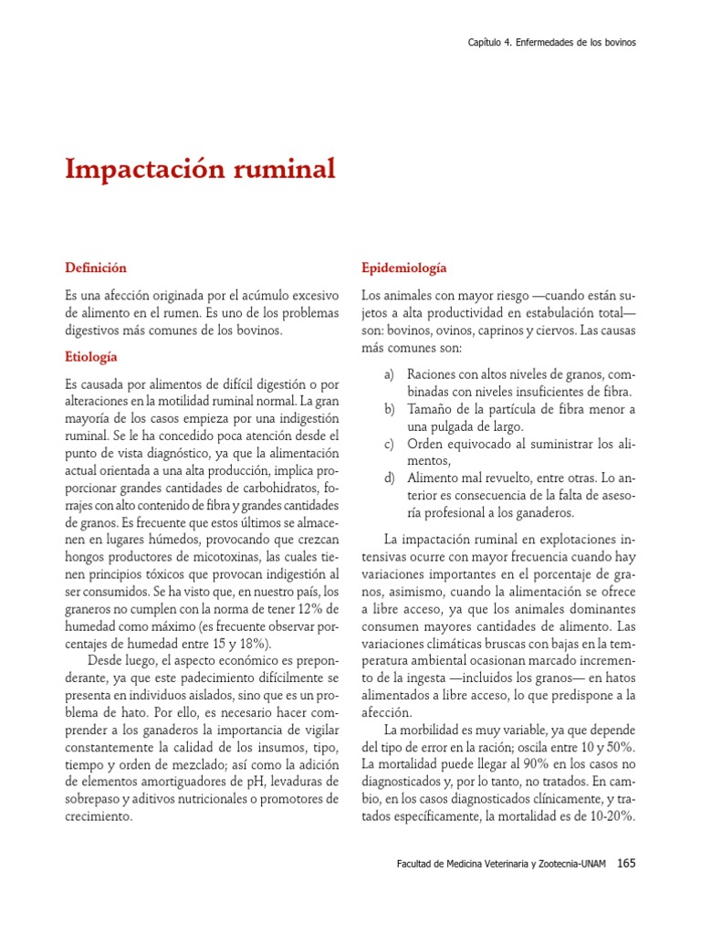 Impactacion Ruminal | Descargar gratis PDF | Rumiante | Vacas