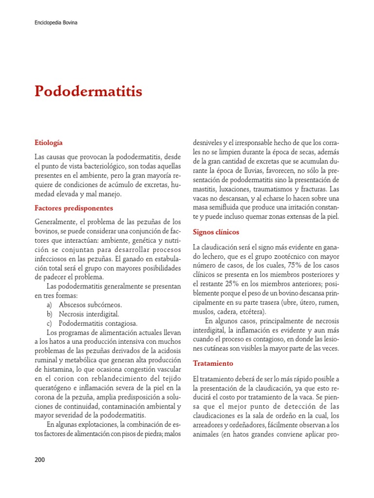 Pododermatitis | PDF | Vacas | Dolor