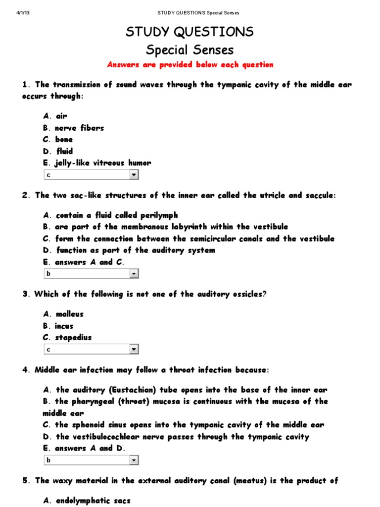 Study Questions Special Senses | PDF | Ear | Auditory System