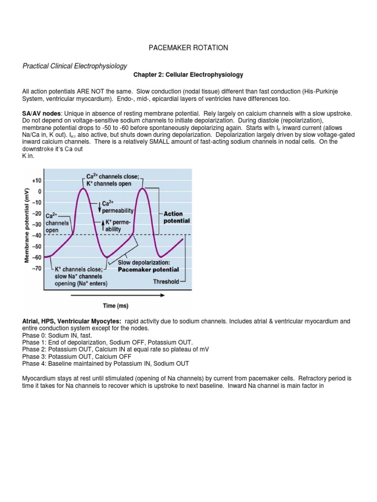 Pacemaker Rotation | PDF | Artificial Cardiac Pacemaker | Cardiac ...