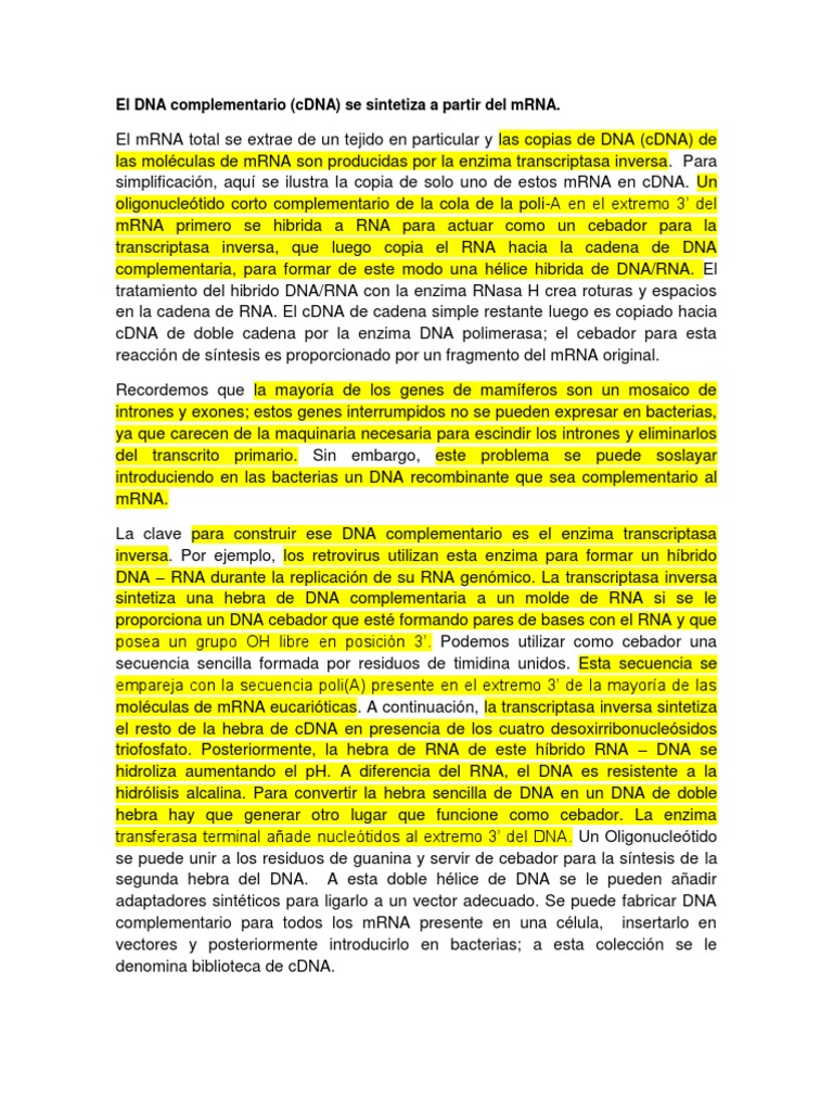 Síntesis y Aplicaciones del cDNA | PDF | La transcriptasa inversa | Adn