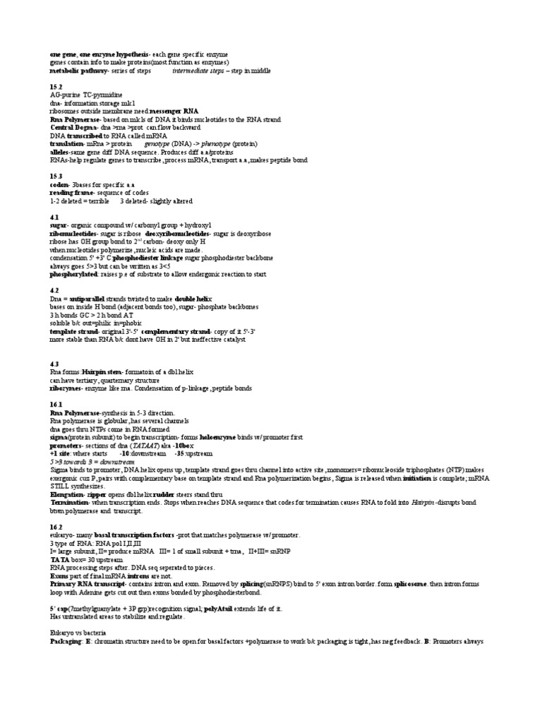 Bio Final | PDF | Directionality (Molecular Biology) | Rna