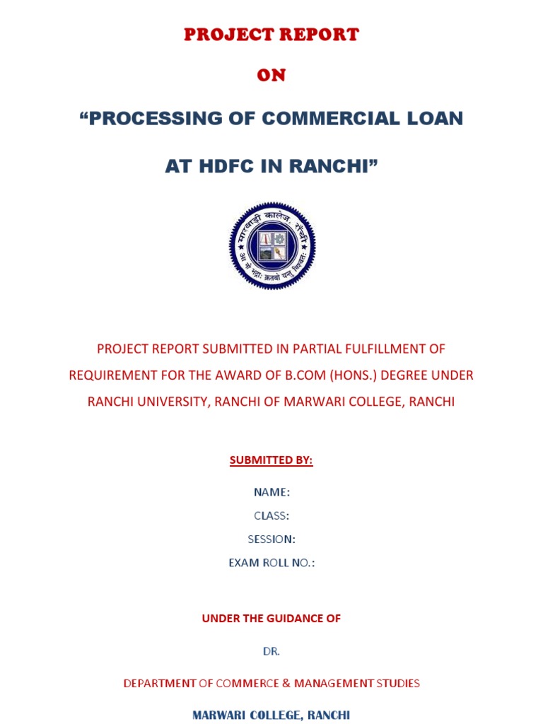 Project Report HDFC Loan | PDF | Loans | Performance Appraisal