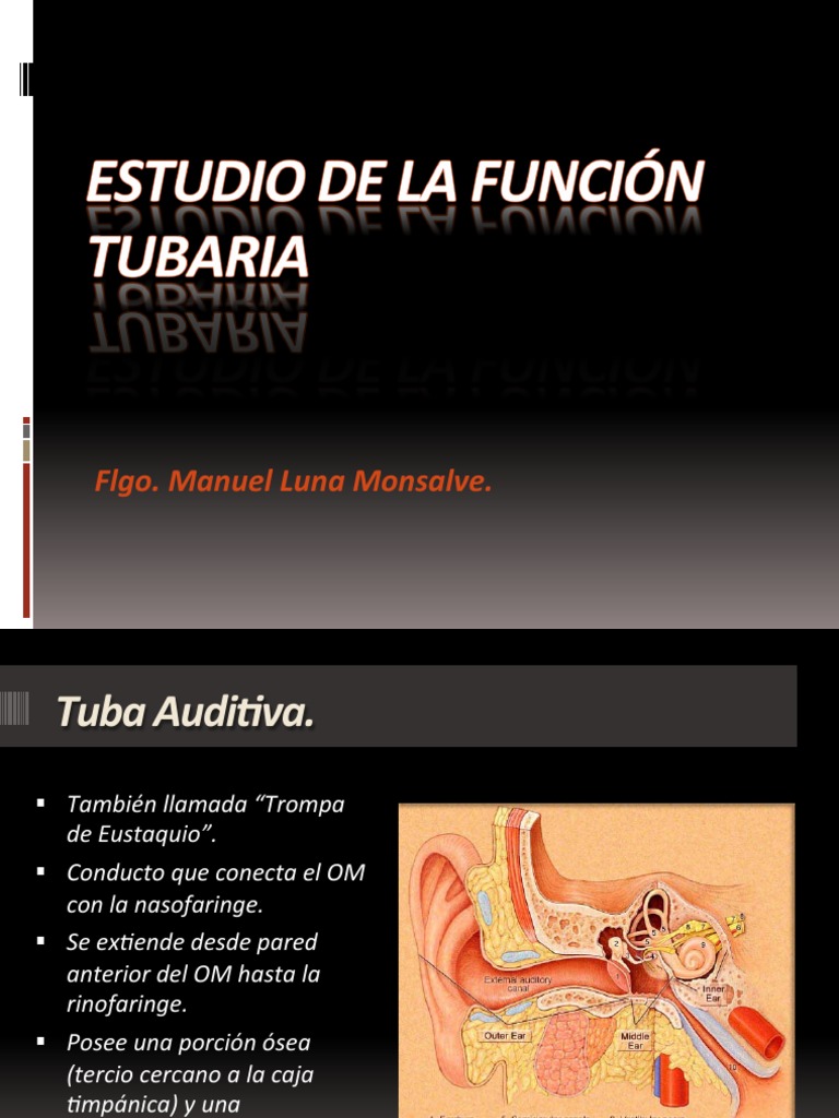 Anatomía y Función de la Tuba Auditiva | PDF | Oído | Anatomía
