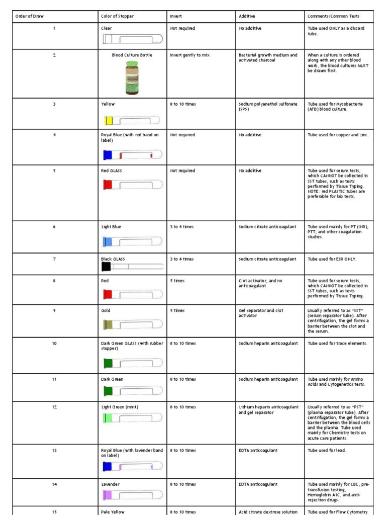 Order of Draw Word | PDF