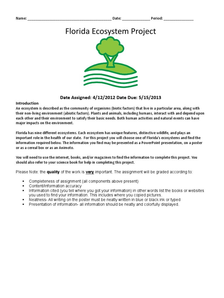 Ecology Project | PDF | Coral | Marsh