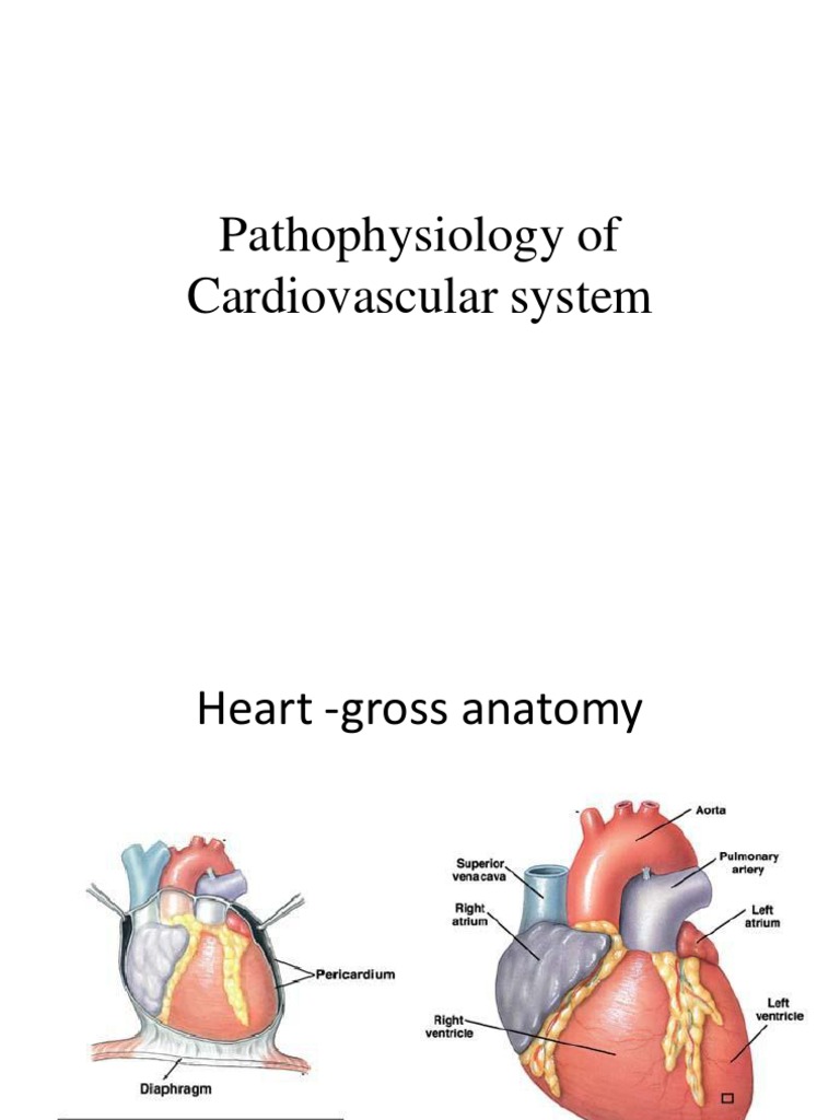 1- Pathophysiology of Cardiovascular System | Heart | Atherosclerosis