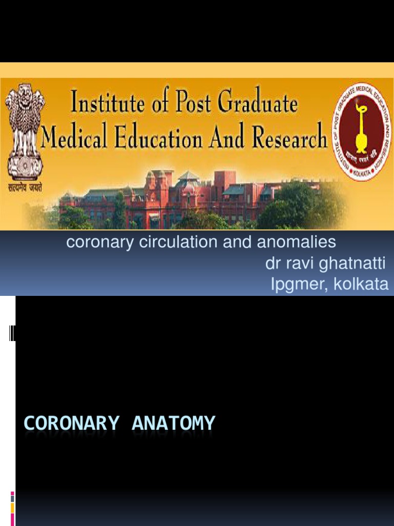 Sirkulasi Korener | PDF | Coronary Circulation | Aorta