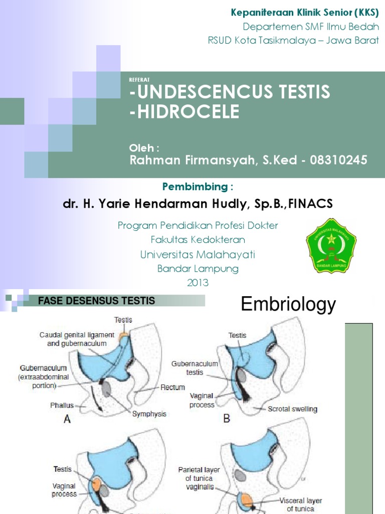 A.referat Undesensus Testis, Hidrokel | PDF