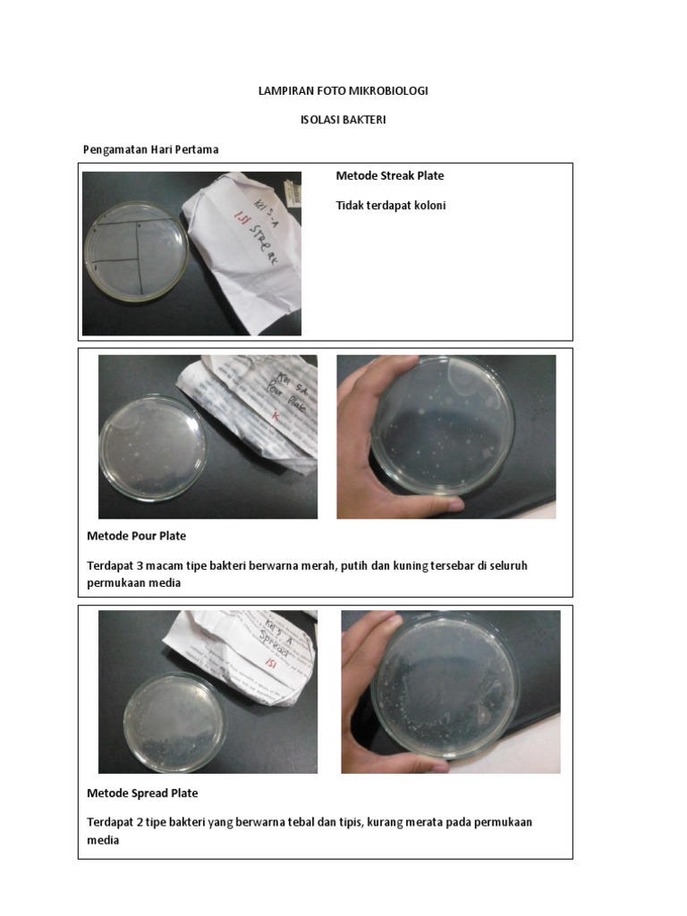 LAMPIRAN FOTO Isolasi Bakteri Mikrobiologi | PDF | Sains & Matematika