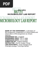 API 50ch Metode | PDF