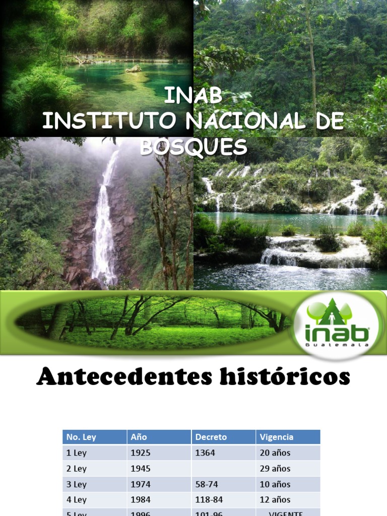 Presentacion Inab | PDF | Gestión de bosques | Los bosques