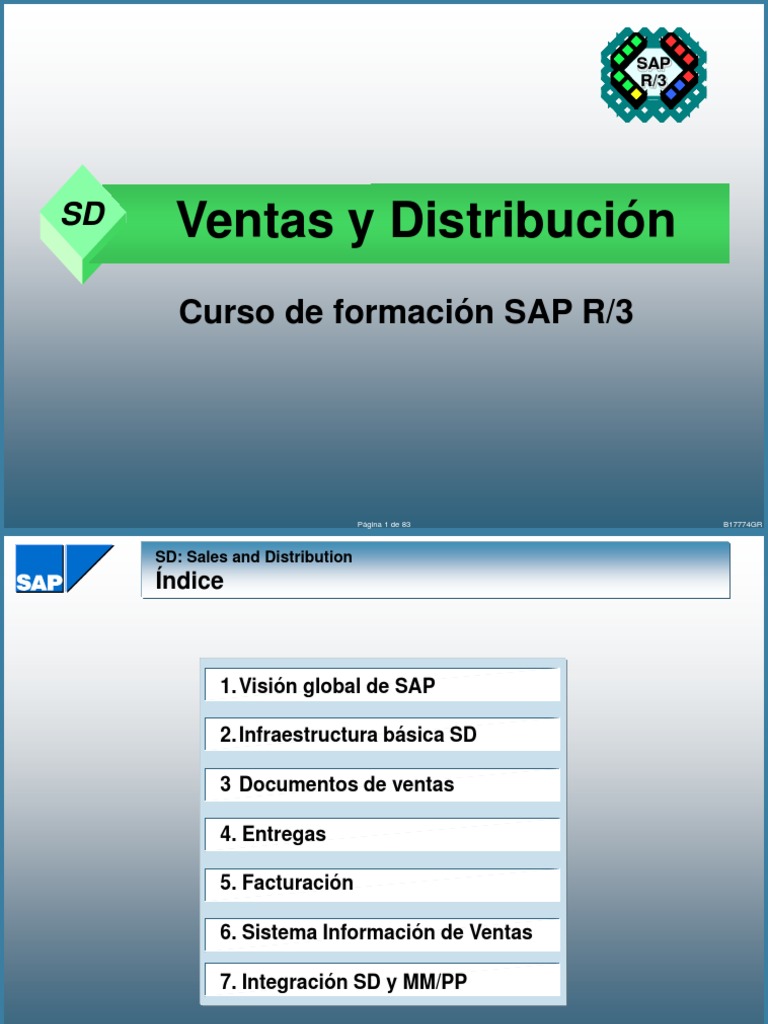 Curso Sap Modulo SD PDF | PDF | Distribución (comercial) | Sap Se