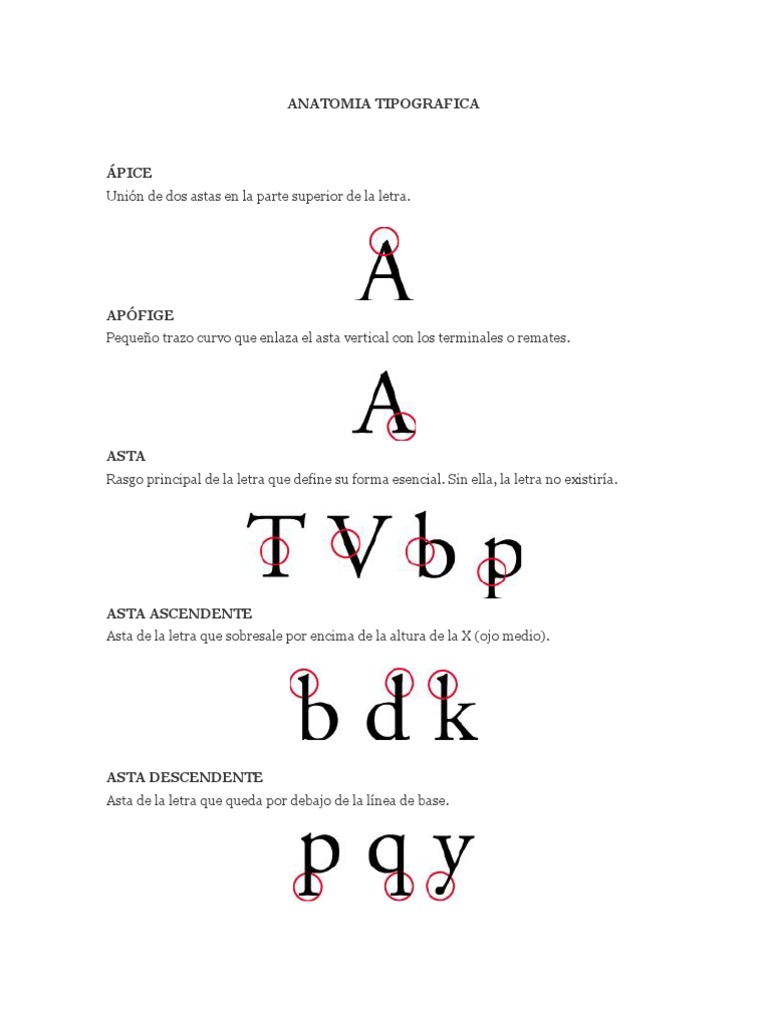 Anatomia de las letras.pdf | Tipografía | Comunicación escrita