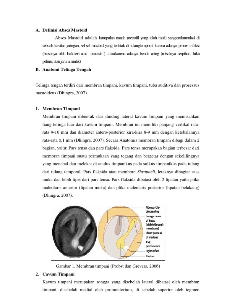 Penanganan Abses Mastoid pada Anak | PDF | Sains & Matematika