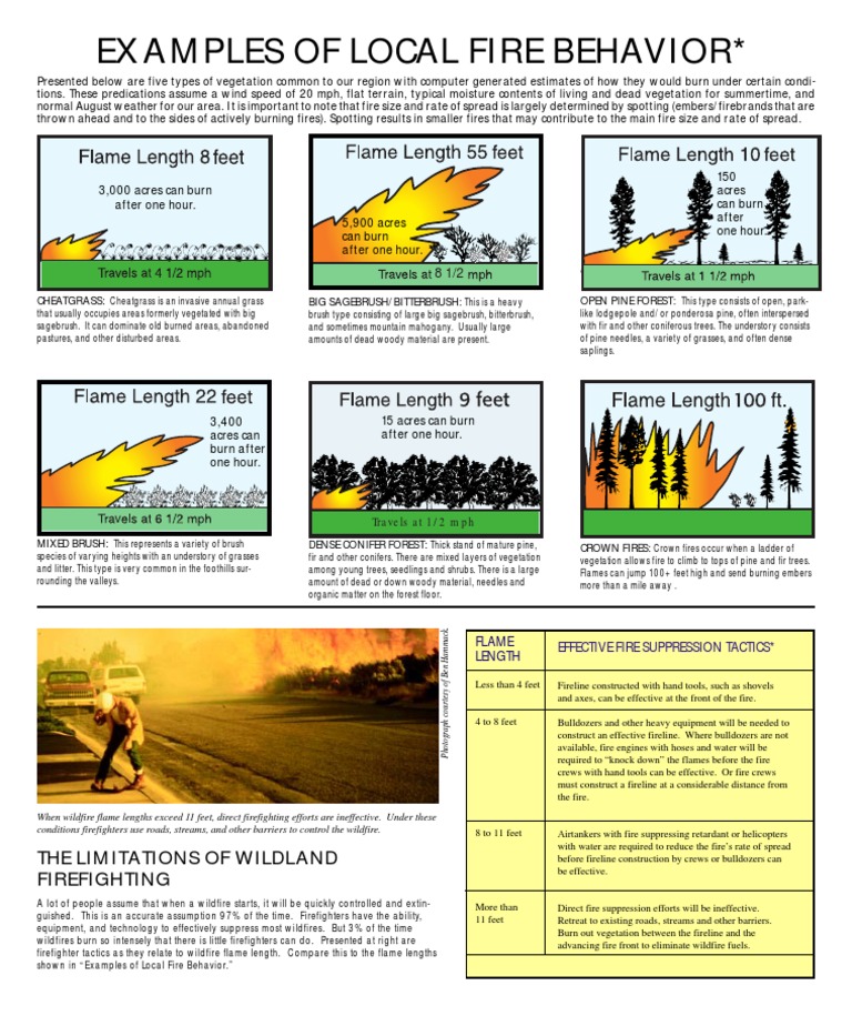 Examples of Local Fire Behavior : The Limitations of Wildland ...
