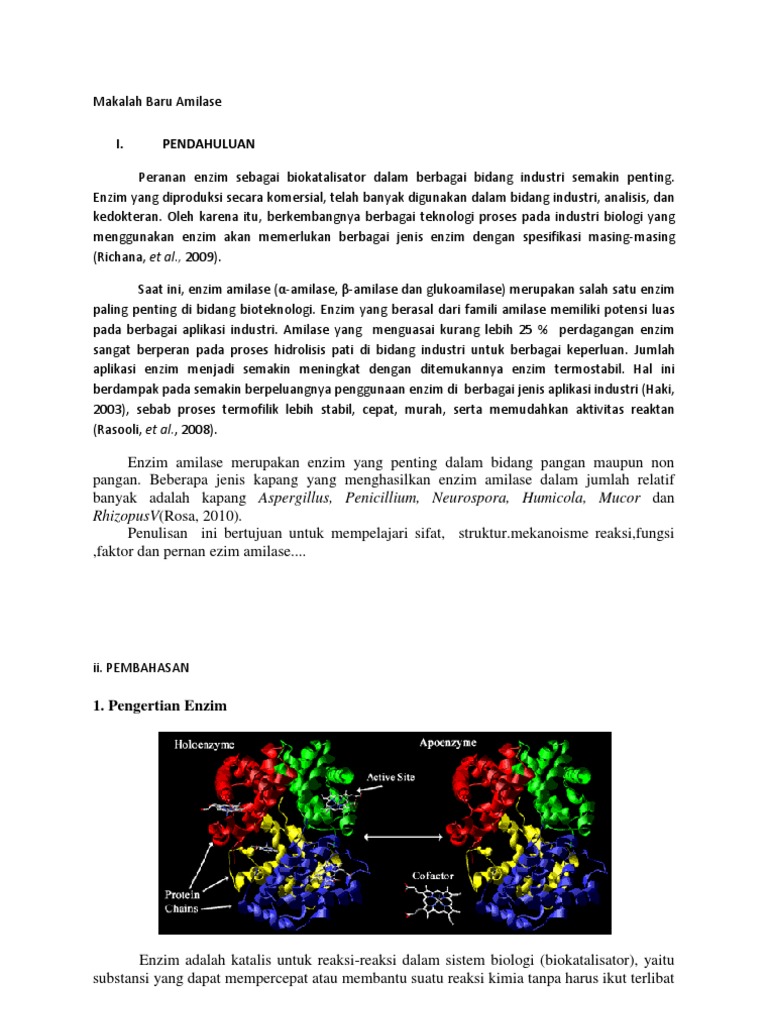 Makalah Enzim Amilase | PDF
