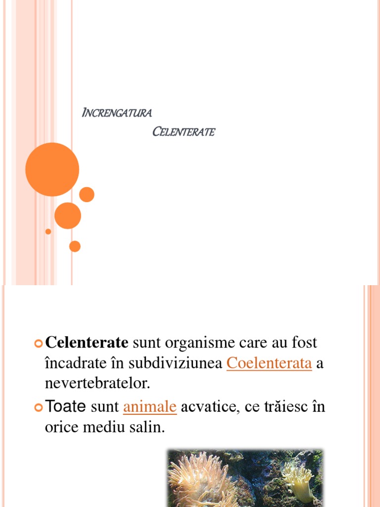 Increngatura Celenterate - PROIECT | PDF