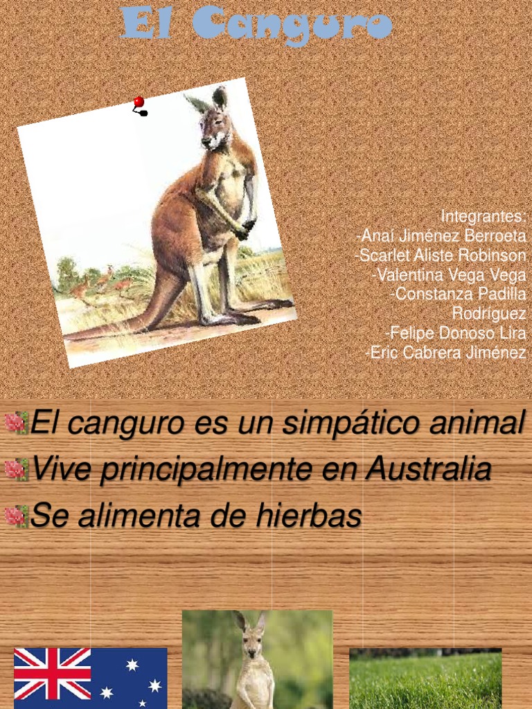 El Canguro | PDF