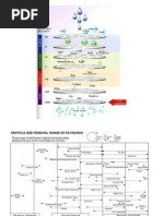 Ion Exchange Column Design | PDF | Chemical Kinetics | Diffusion