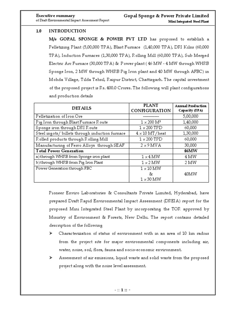 Gopal Sponge Executive Summary - 08.05 | PDF | Steel Mill | Boiler
