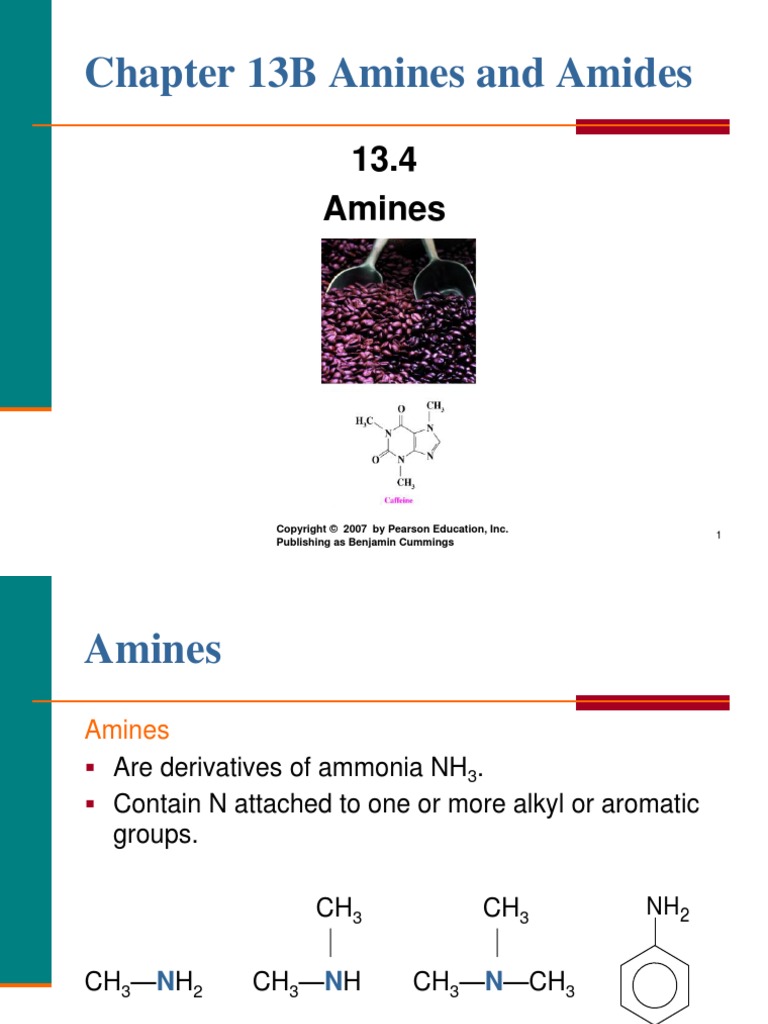 Amines Amides Lesson | PDF | Amine | Ammonium