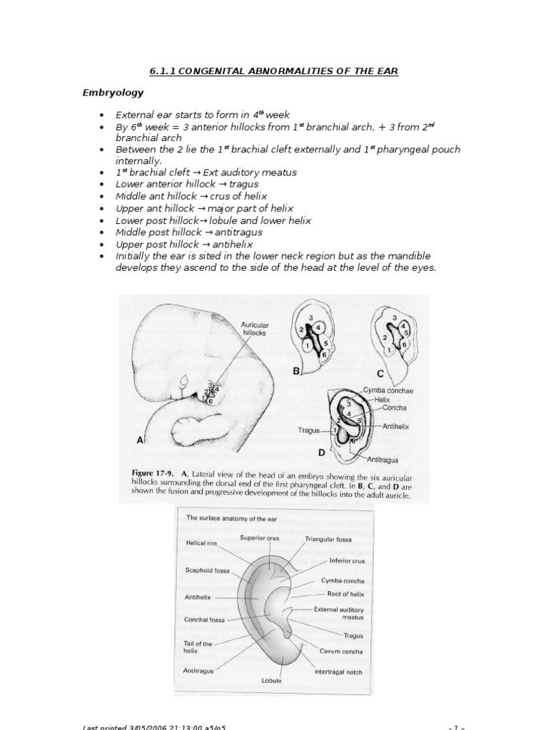 Congenital Abnormalities of the Ear. | Ear | Common Carotid Artery