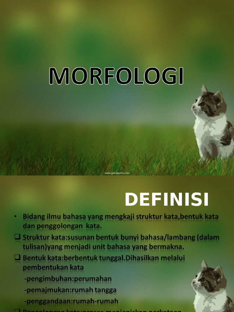 MORFOLOGI | PDF