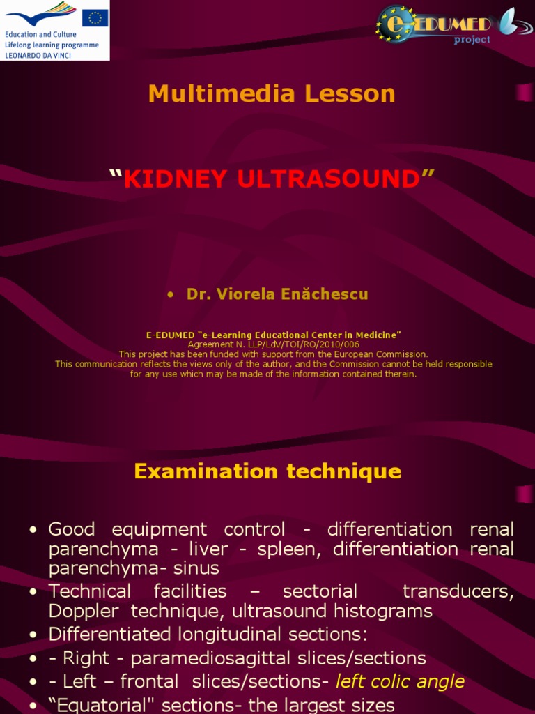 Final - MML Kidney Us | Download Free PDF | Kidney | Medical Specialties