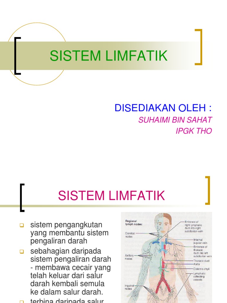 Sistem Limfatik | PDF