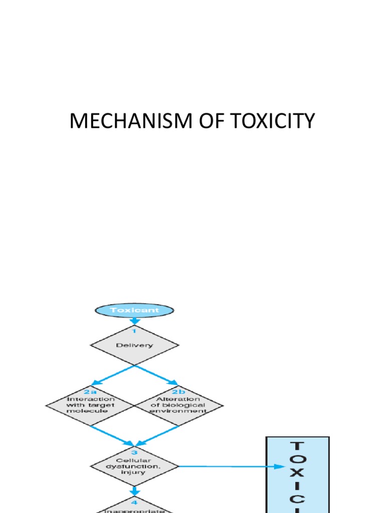 Mechanism of Toxicity | PDF | Radical (Chemistry) | Chemical Reactions