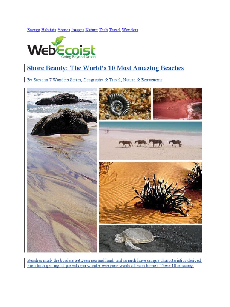 Amazing Beaches | PDF | Beach | Sand