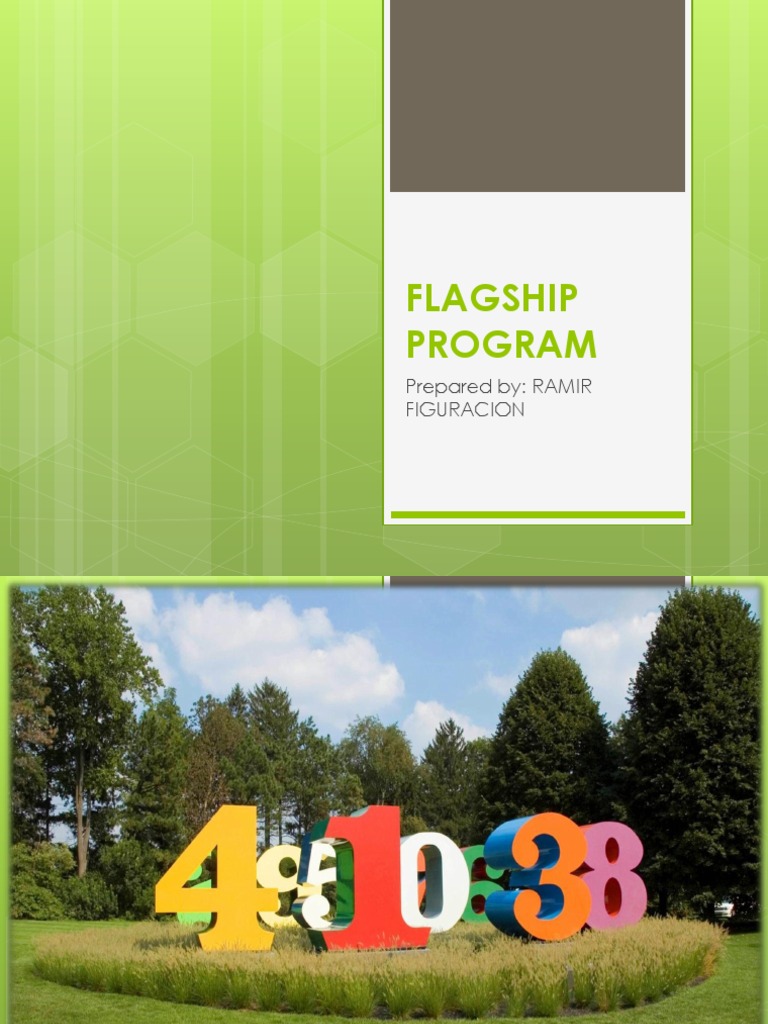 Flagship Program in Math | PDF | Lesson Plan | Learning