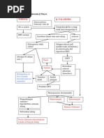 Anemia Normositik Normokrom | PDF