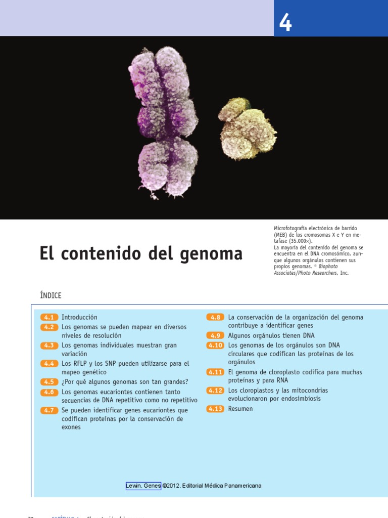 Lewin. Genes 2012 | Gene | Enlace Genético