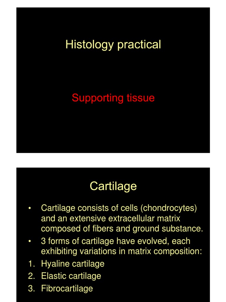 Cartilage Histology: Types and Structures | PDF | Cartilage | Bone