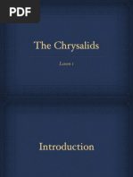 The-Chrysalids Worksheet | PDF