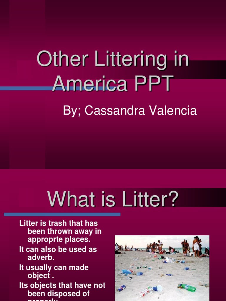 Understanding Littering in America | PDF