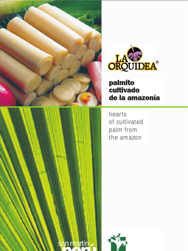 Catalogo Palmito | Alimento y bebida | Comida y vino