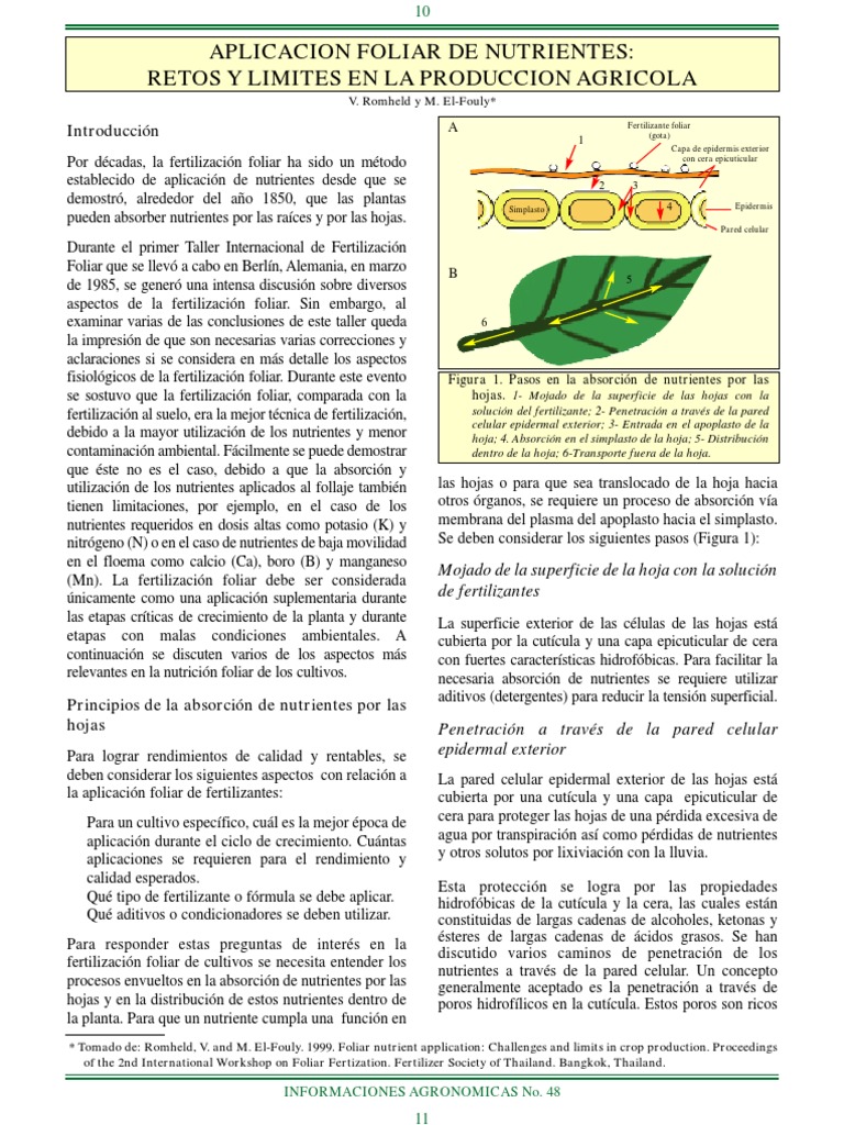 Fertilización Foliar: Retos y Limitaciones | PDF | Hoja | Estoma