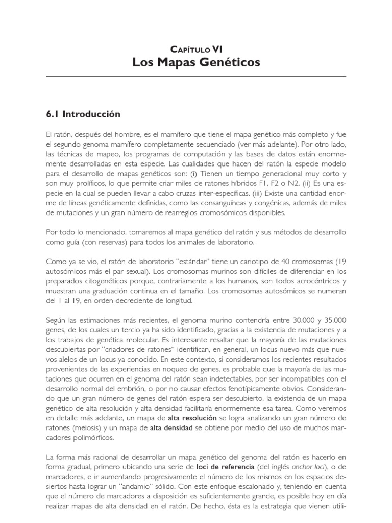 Mapa Genetico | PDF | Enlace Genético | Cromosoma
