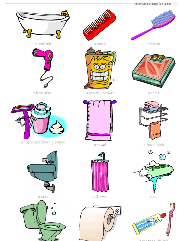 Essential Bathroom Vocabulary for ESL Teachers | PDF