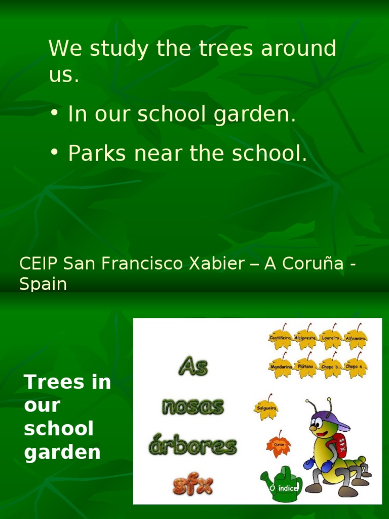 We Study The Trees Around Us. - in Our School Garden. - Parks Near The ...