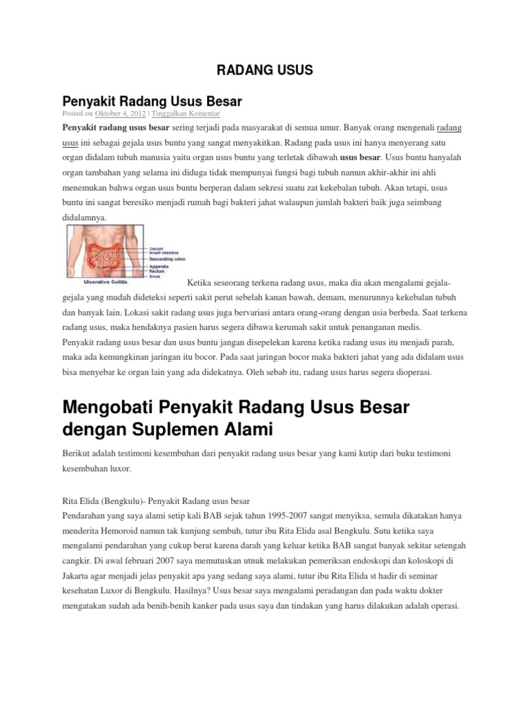 Penyakit Radang Usus | PDF
