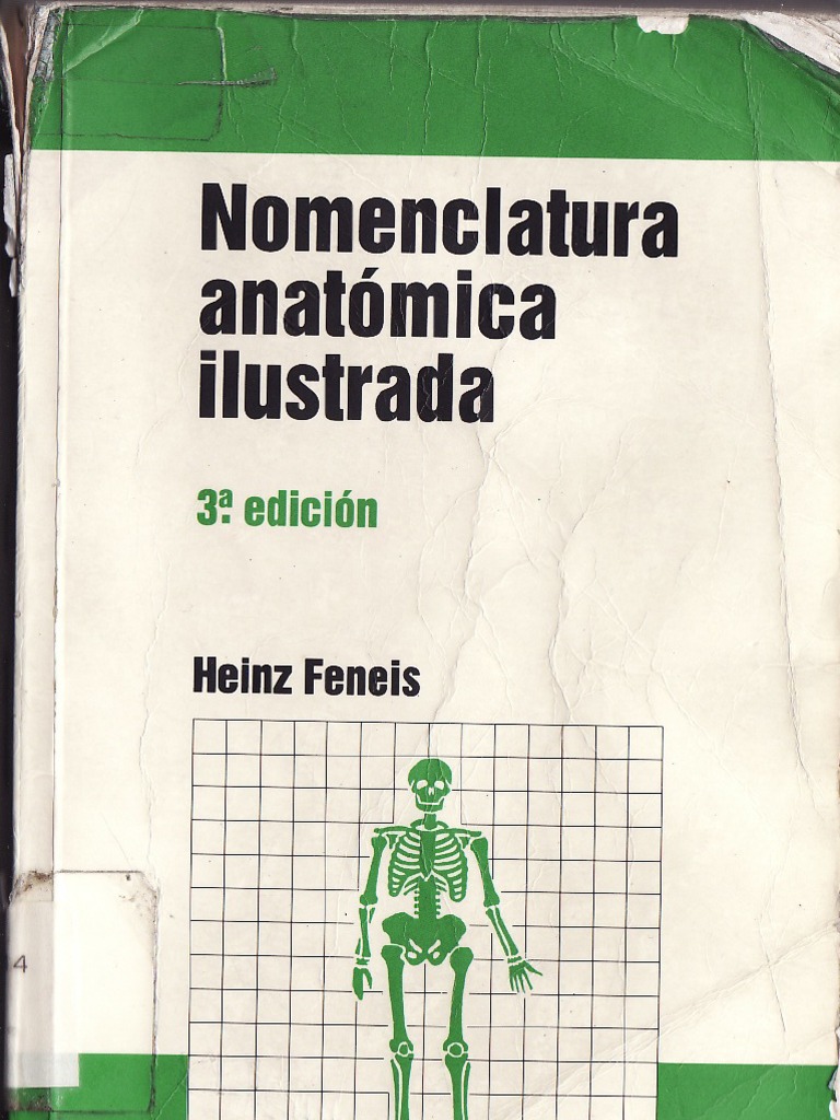 Feneis Heinz - Nomenclatura Anatomica Ilustrada | PDF